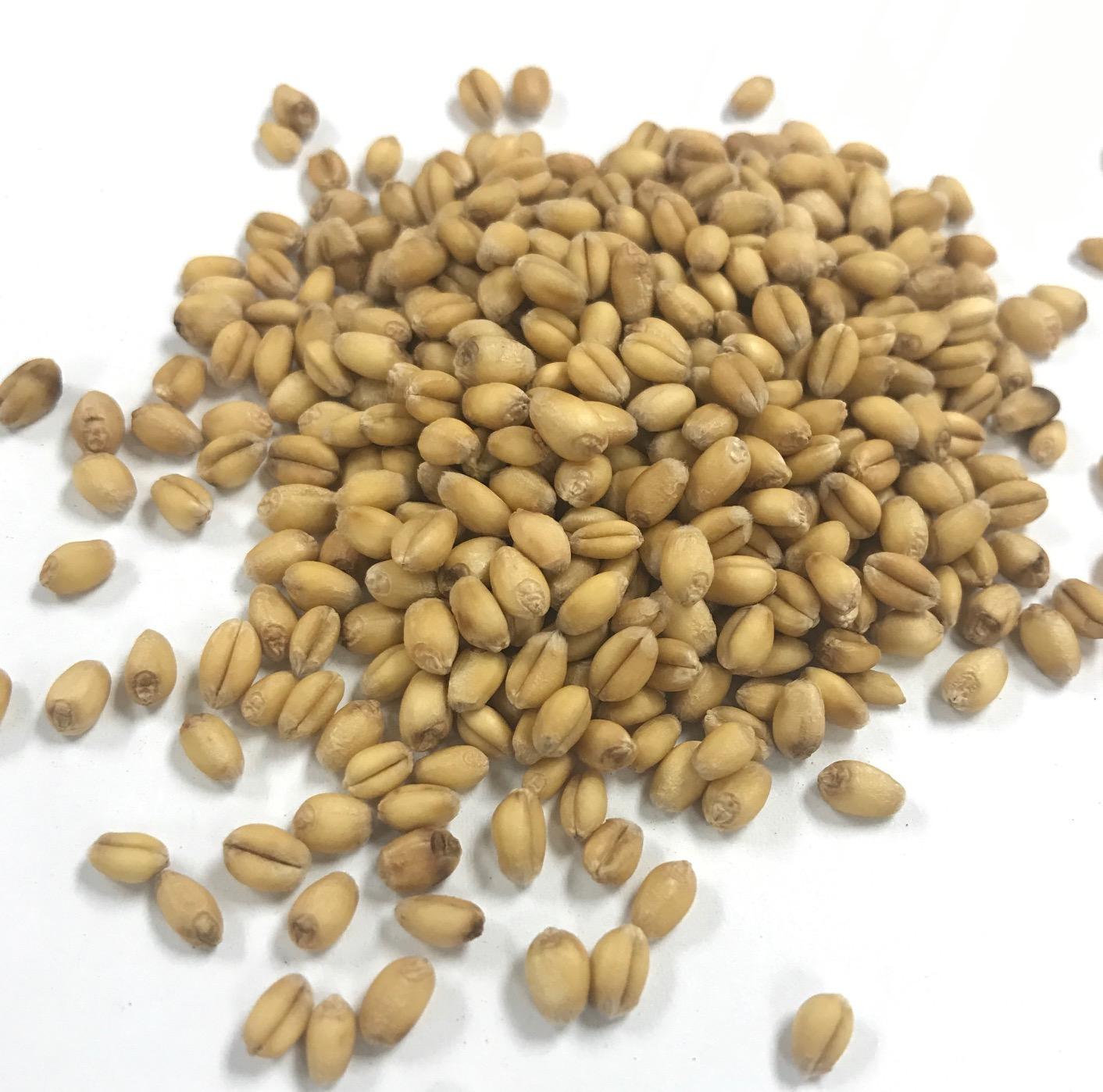 US Grains | Bader Beer & Wine Supply